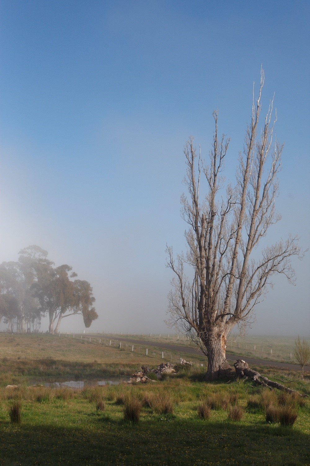 Castlemaine Art Museum | Wilson on Bale